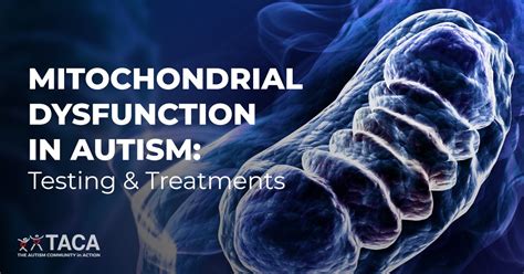 Mitochondrial Dysfunction In Autism Testing And Treatments The Autism Community In Action