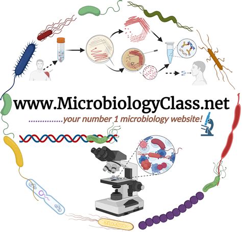The Triangle Of Epidemiology Epidemiological Triad 1 Microbiology Resource Hub