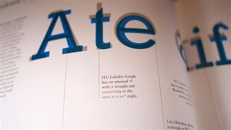 The Field Guide To Typography Typefaces In The