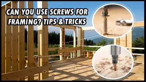 Can You Use Screws For Framing Tips And Tricks