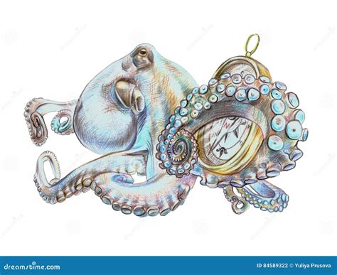 Octopus Compass Stock Illustrations 970 Octopus Compass Stock
