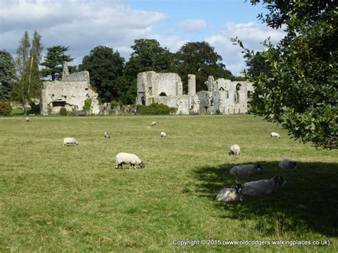 Too Old Codgers On Walking Places