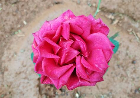 Xiaomi Redmi Note 6 Pro Review Meaningful Upgrade With Feature Rich Camera IBTimes India