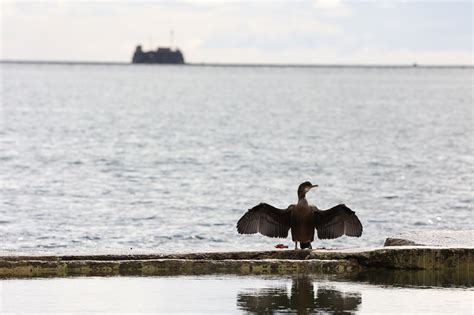 Devon And Cornwall Police Sex Is Only Sexy When Both People Want It