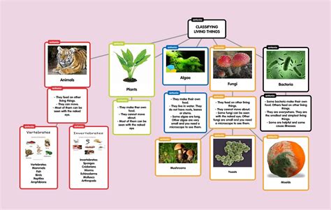 Classifying Living Things Diciembre 2017