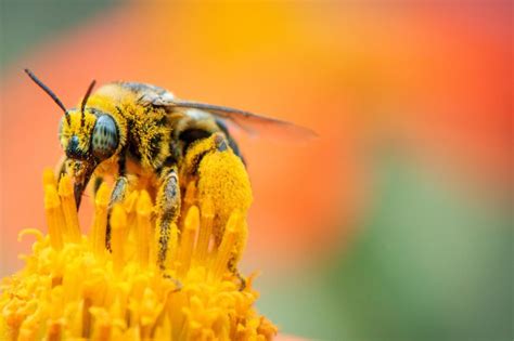 University Of Georgia Cooperative Extension On Linkedin Caes