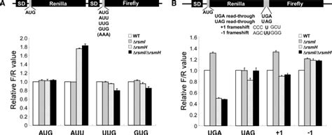 Non Aug Initiation Stop Codon Read Through And Reading Frame Download Scientific Diagram