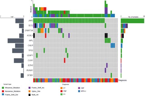 Oncoplot Depicting The Mutational Profile In The Study Cohort Each Download Scientific Diagram