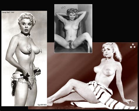 Wide Screen Layouts Candy Barr Porn Pictures Xxx Photos Sex Images