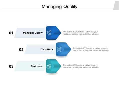managing quality ppt powerpoint presentation file demonstration cpb