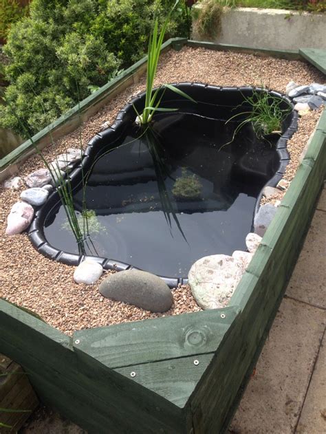 Pin On Pond
