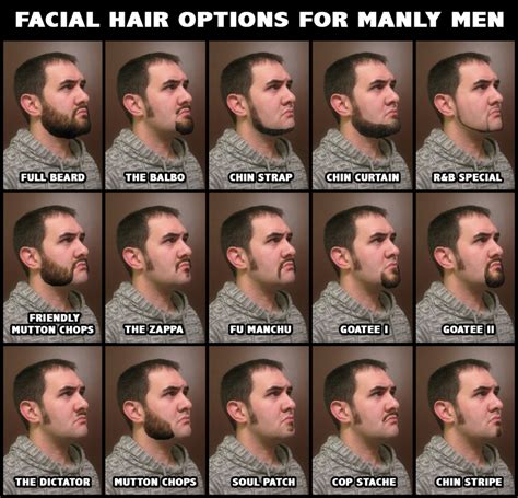 My Guide To Beardedness Types Of Beards Facial Hair Hair And Beard Styles