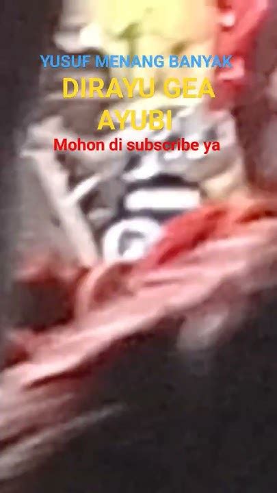 Yusuf Sama Gea Ayubi Youtube