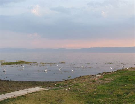 Birthday At Lake Chapala Nowtopian