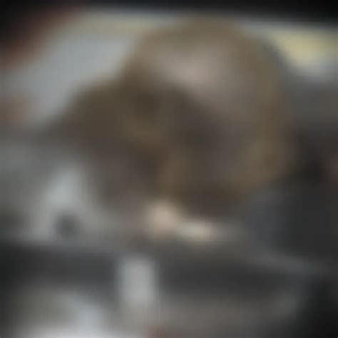 Understanding The Setup Of Reverse Phase Chromatography