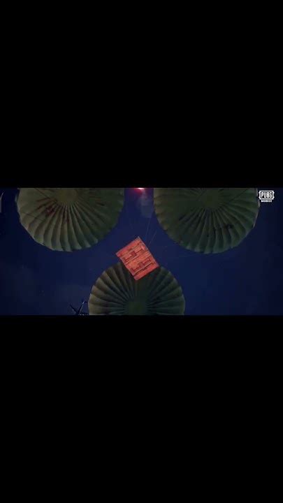 Выбил новое оружие 🙃 Подпишись и поставь лайк ️pubgmobile Metropubg