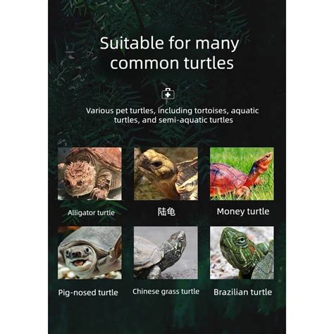 100ml Turtle Eye Drop 乌龟眼药水 乌龟药 乌龟药水 Reptile Drops Sulcata Tortoise