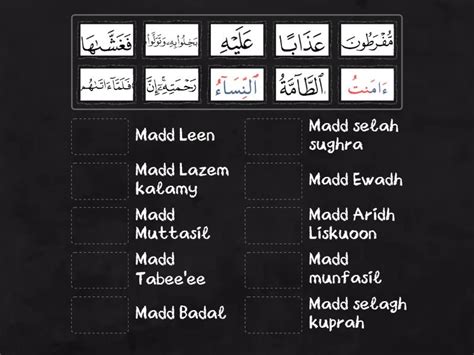 Kinds Of Madd Match Up