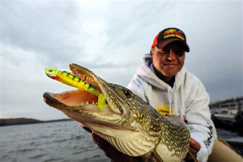 Bad Ass Fish You Better Not Lip To Land Game And Fish