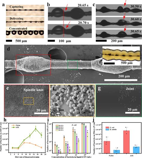 Bioaerosols Capture Performance Of The Ass Photocatalyst A Optical Download Scientific Diagram