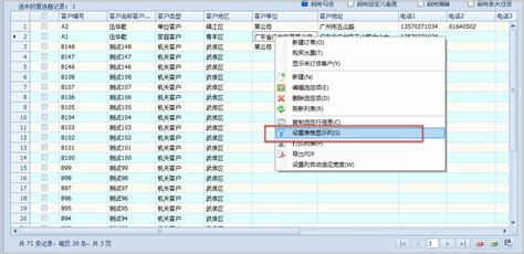 WinForm应用实战开发指南 分页控件中集成保存用户列表的显示设置 DevExpress控件中文网