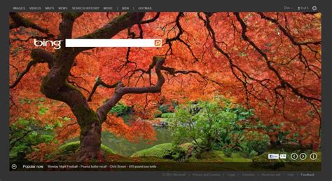 Bing Home Page Don Paulson Photography