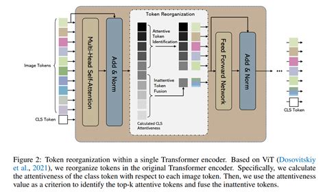 uc san diego evit：利用token重组加速视觉transformer（iclr2022） 智源社区