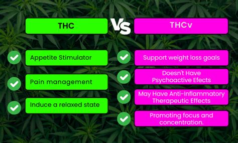 Thcv Vs Thc What Are The Differences Atlrx