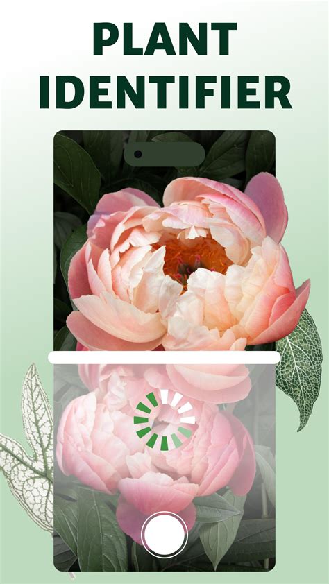 Plant App Plants Identifier Apk For Android Download