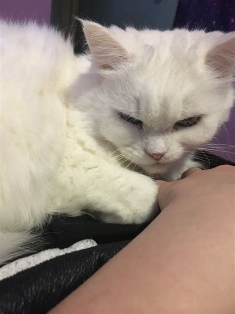 Shes Plotting Something E V I L Raww Shes Plotting Something E V I L Raww