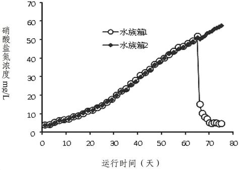 Usage Of Beanstalk As Carbon Source For Biological Denitrifying