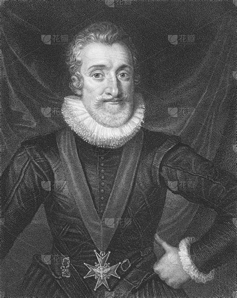 亨利四世素材 花瓣网