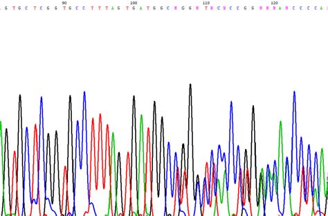 C Sequence Obtained From Automated DNA Sequencing Of Some