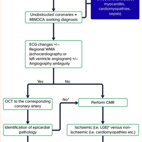 Clinical Algorithm For The Use Of Optical Coherence Tomography In