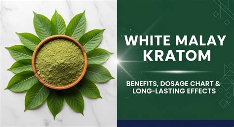 White Malay Kratom Benefits Dosage Chart And Long Lasting Effects