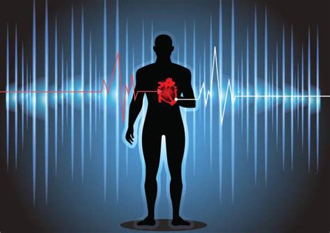 Systolic Diastolic Illustrations Royalty Free Vector Graphics And Clip