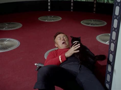Cat Lets Watch Star Trek
