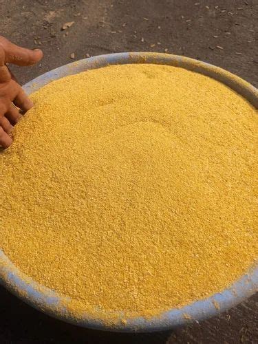 Maize Ddgs At ₹ 26tonne New Items In Baramati Id 2857573459291