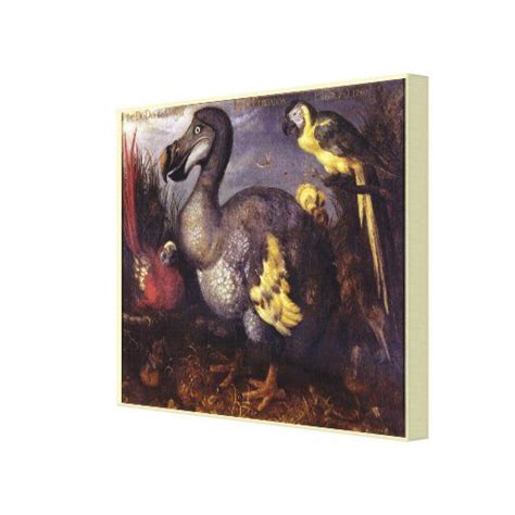Vintage Roelant Savery Saverys Dodo Canvas Print Zazzle