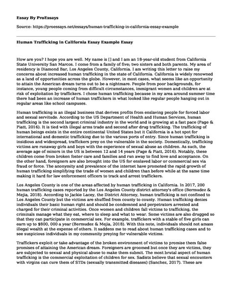 📗 Human Trafficking In California Essay Example Free Essay Term