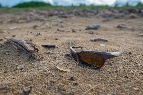 The Lost Sunglasses On The Beach Stock Image Image Of Water Blue