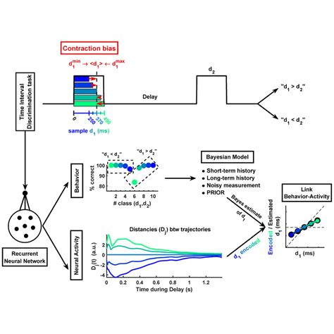 Emergent Perceptual Biases From State Space Geometry In Trained Spiking