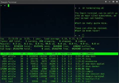 Best Font For Terminal Linux Auskse