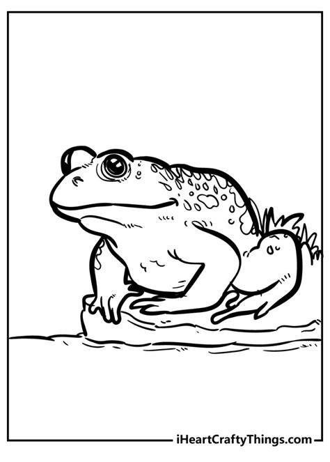 Toad Coloring Pages 100 Free Printables