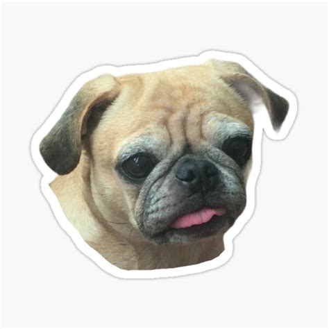 Cute Pug Face Sticker For Sale By Nebulous Llc Redbubble