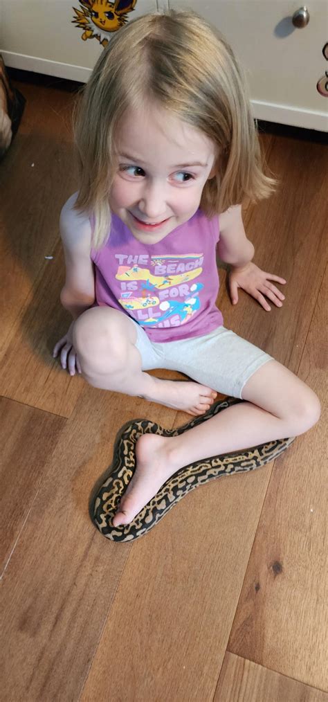 Ball Python Often Imitated Never Duplicated