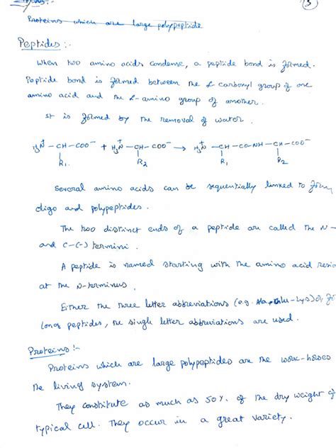 Peptides And Proteins Notes Pdf Structural Biology Biochemistry