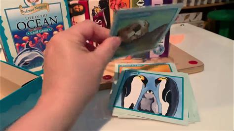 Professor Noggins Card Games For Homeschool Youtube