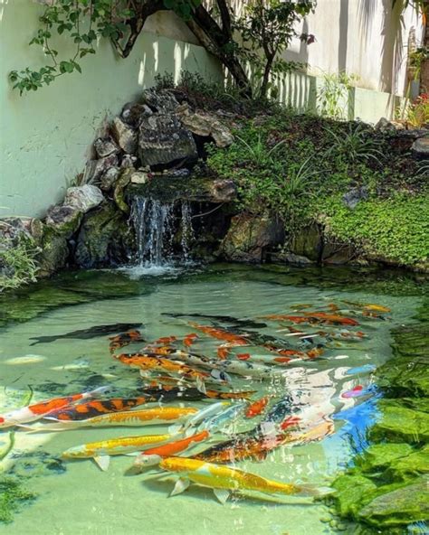Lago Artificial 25 Ideias Incríveis E Como Fazer 【2026】