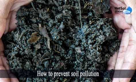 How To Prevent Soil Pollution Top 5 Ways To Prevent Soil Pollution